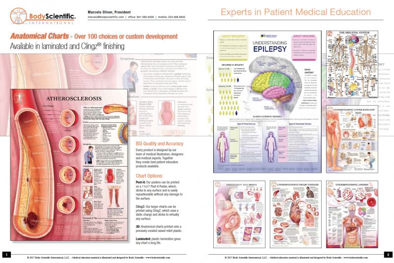 Anatomical Charts - Anatomical Charts Models